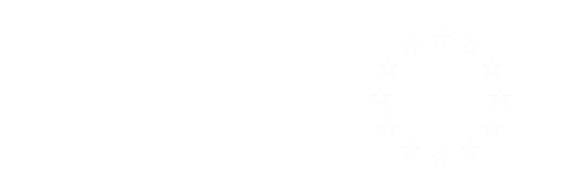 Lace Lithography – On a mission to achieve something really, really small.